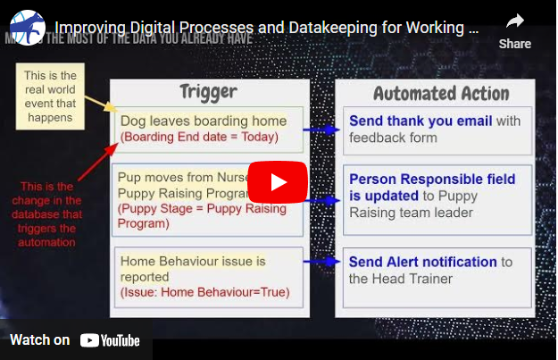 Home - International Working Dog Association